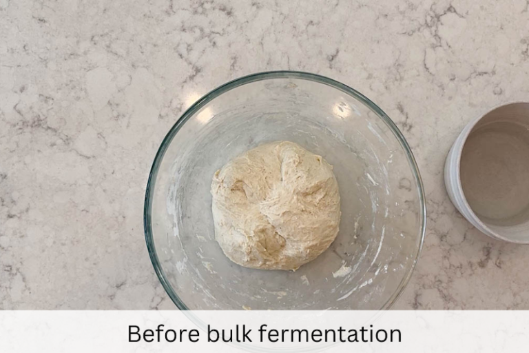 Sourdough Pizza Dough (No Yeast, Same Day) - Zest and Flour